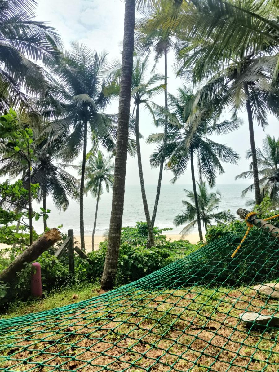 18 Beach Resorts In Kannur (2024) | Updated Deals, Latest Reviews, Photos