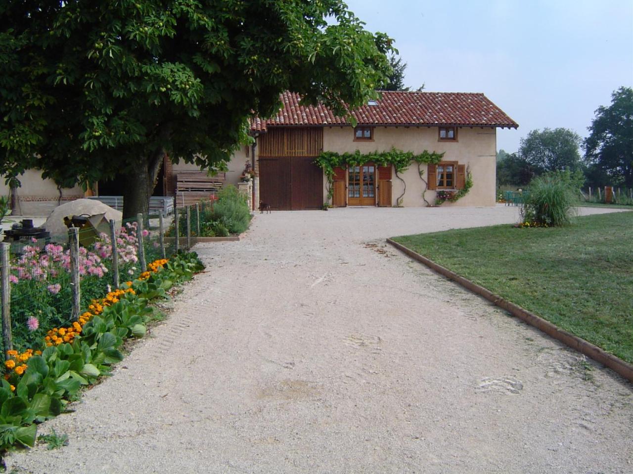 Carte MICHELIN Saint-Trivier-de-Courtes - ViaMichelin