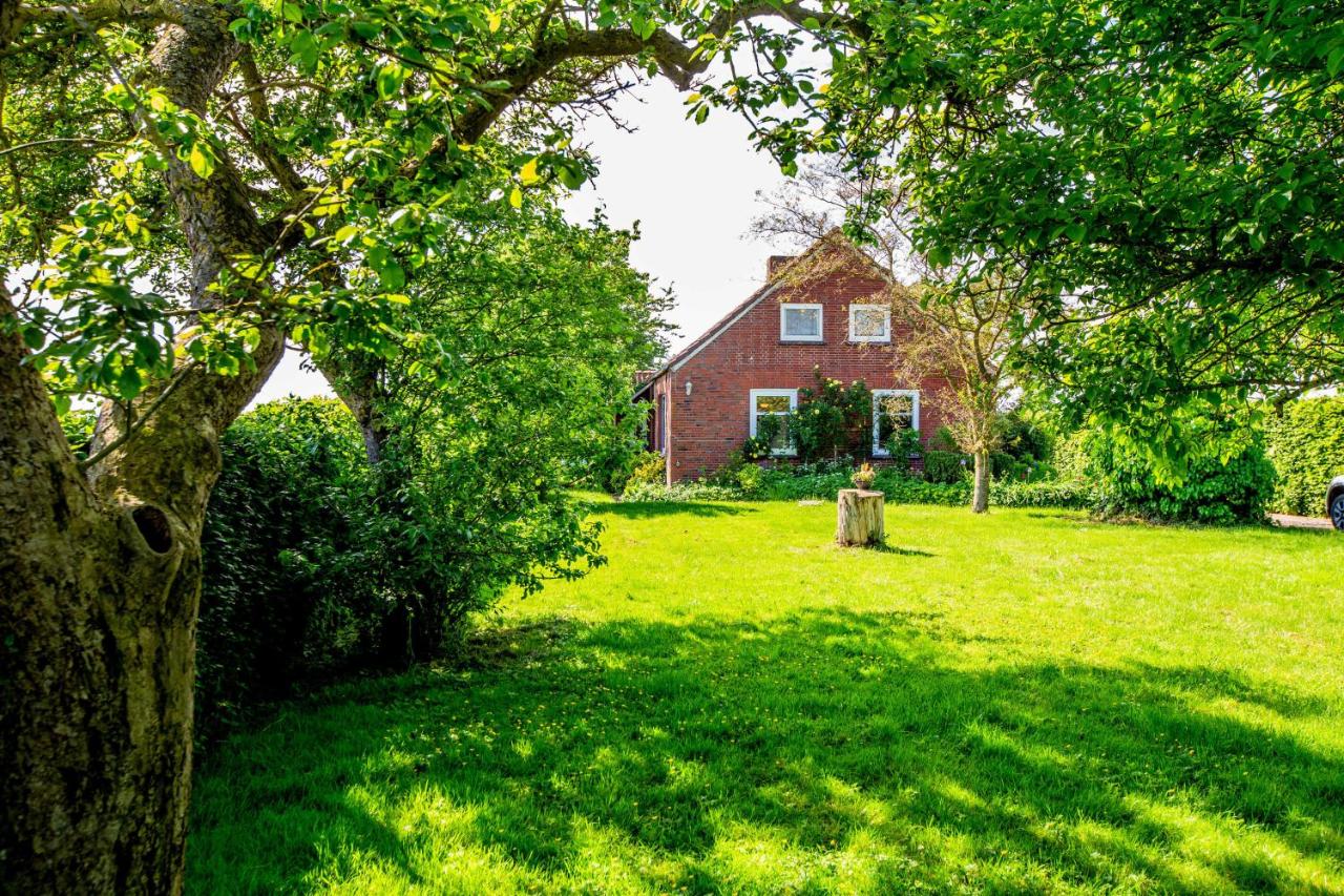 Kaart MICHELIN Scheemda - ViaMichelin