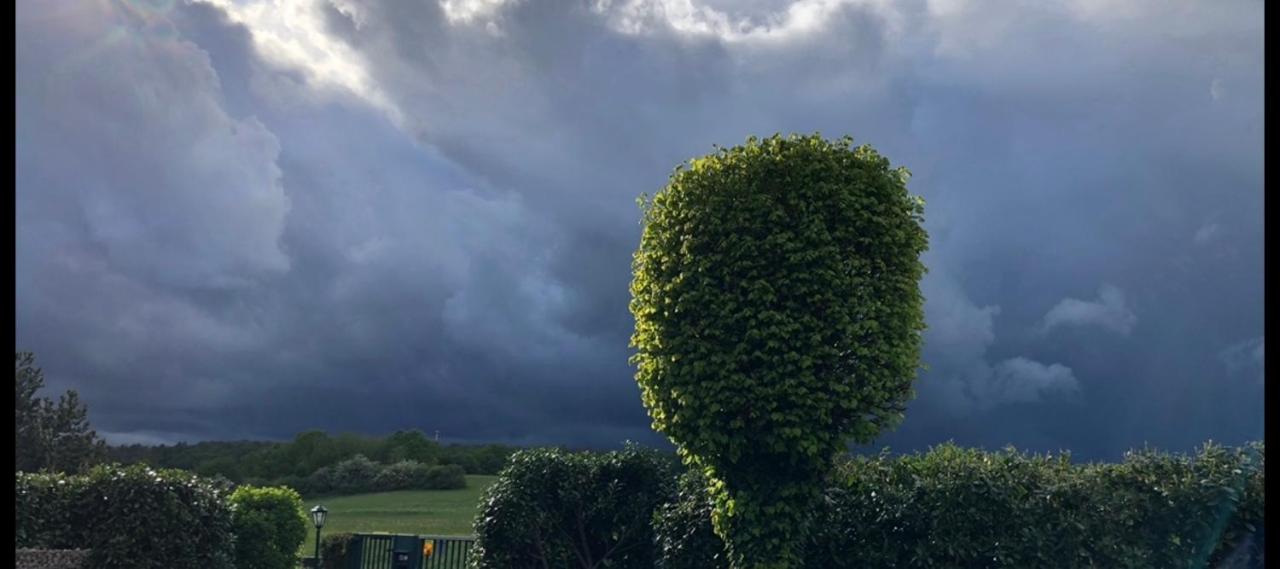 MICHELIN Montabaur map - ViaMichelin