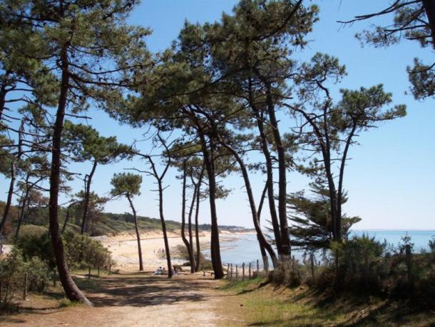 MICHELIN Longeville-sur-Mer map - ViaMichelin