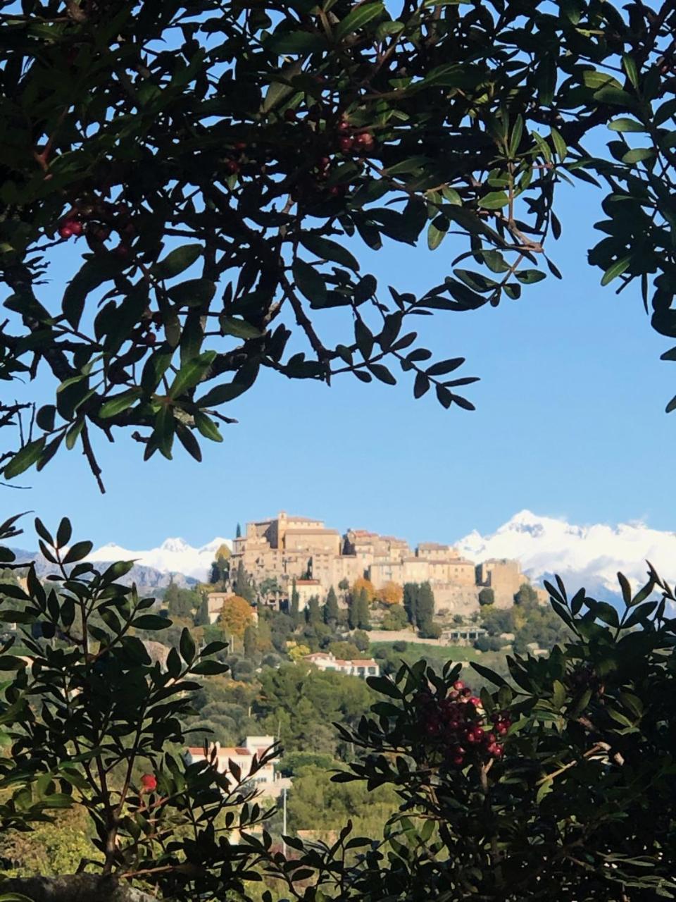 MICHELIN Carros map - ViaMichelin