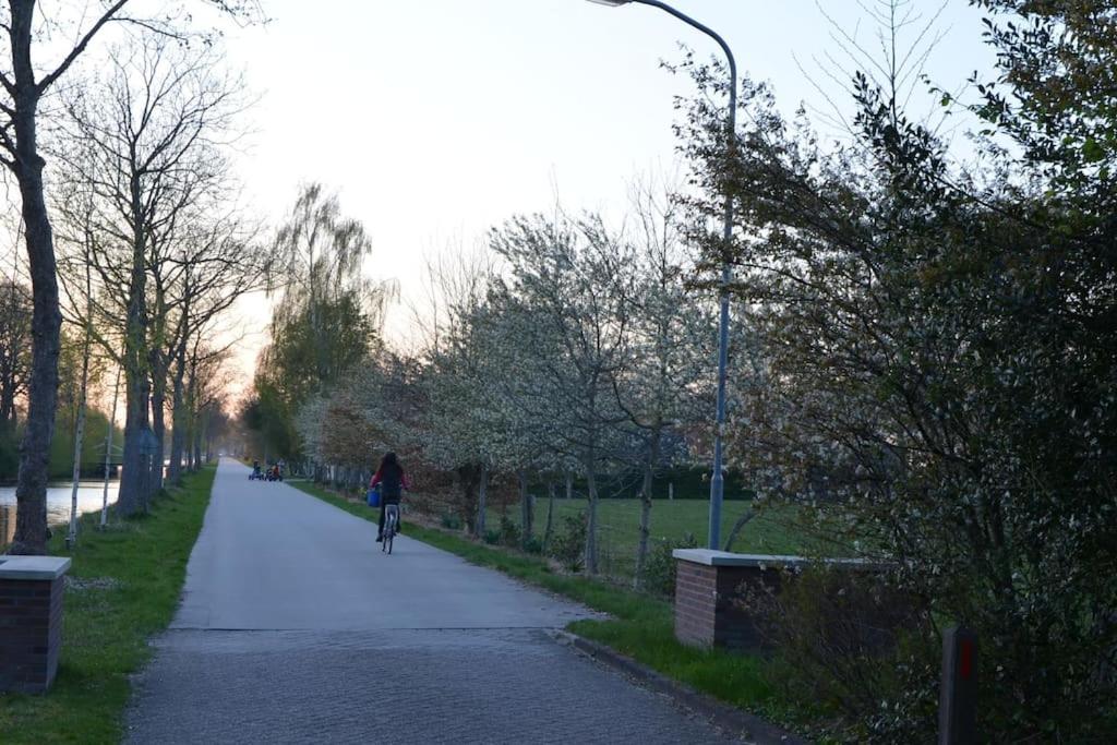 MICHELIN Veendam map - ViaMichelin