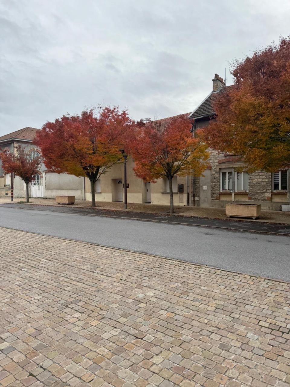 Carte MICHELIN Witry-lès-Reims - ViaMichelin