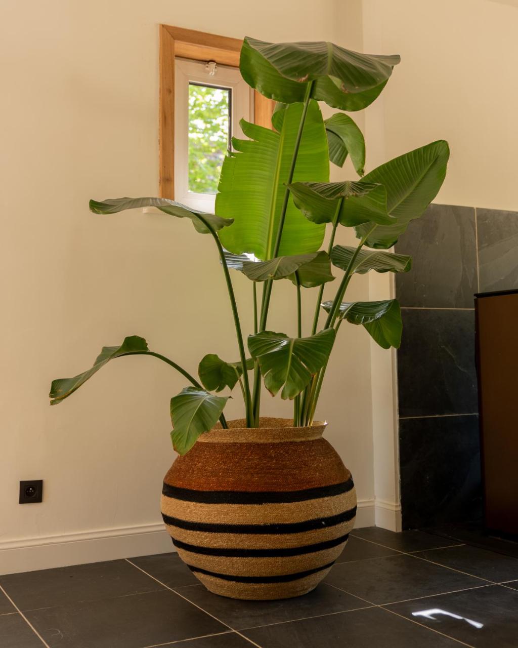 Carte MICHELIN Eke - ViaMichelin