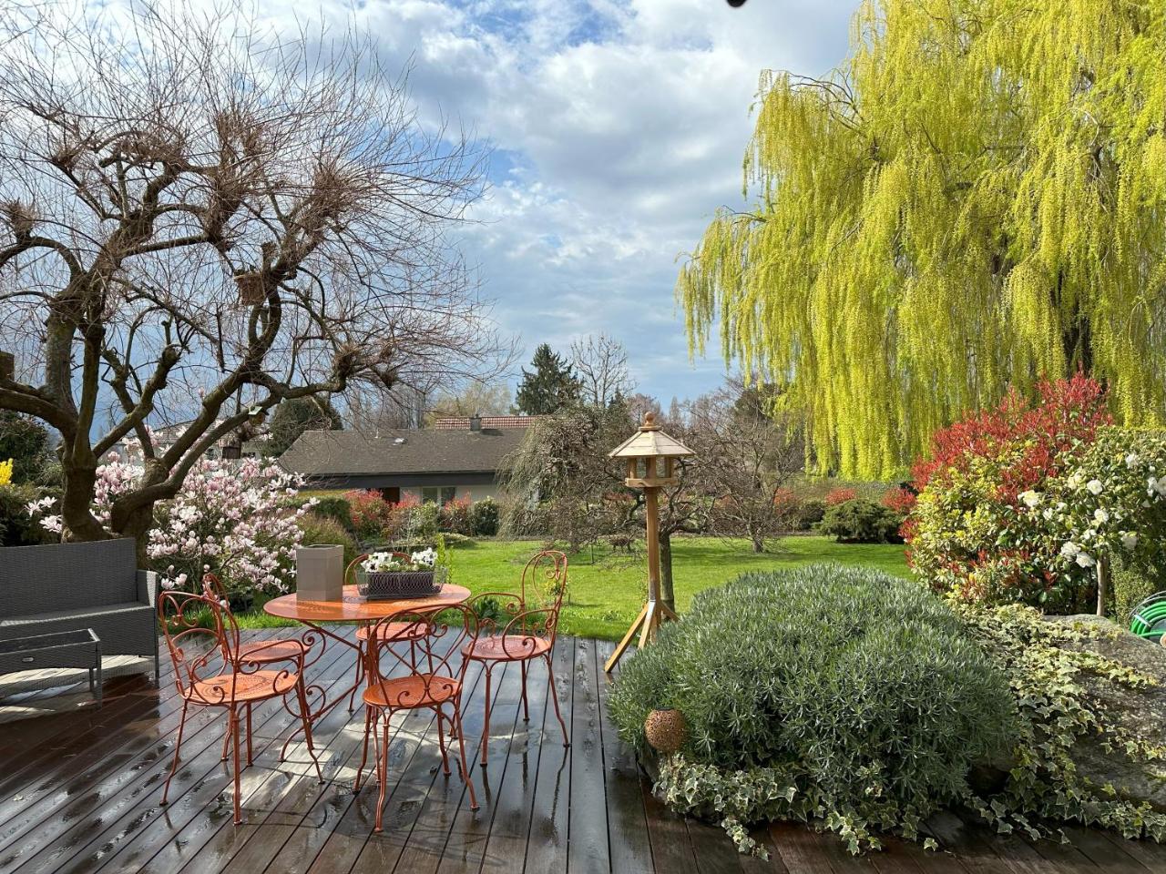 Carte MICHELIN Morges - ViaMichelin