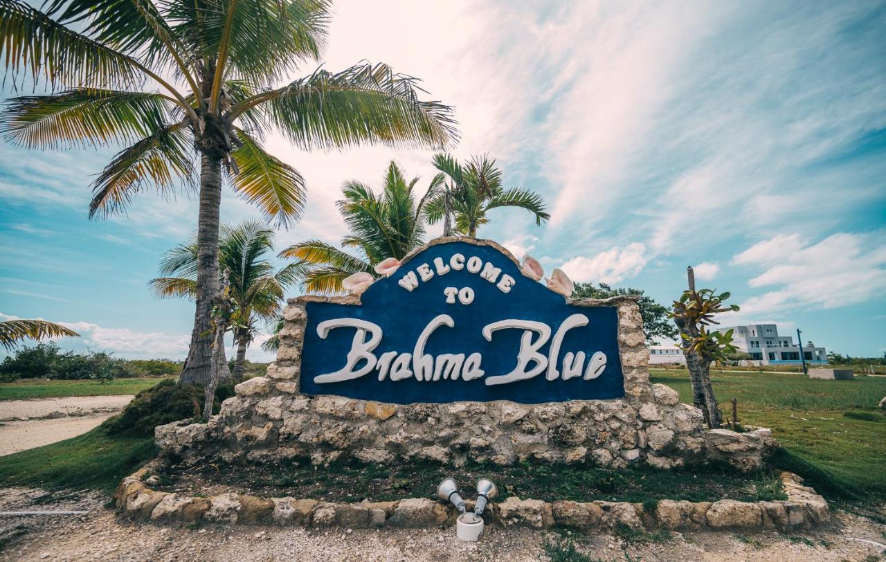 Top 8 All-Inclusive Resorts In Belize - Updated 2024 | Trip101