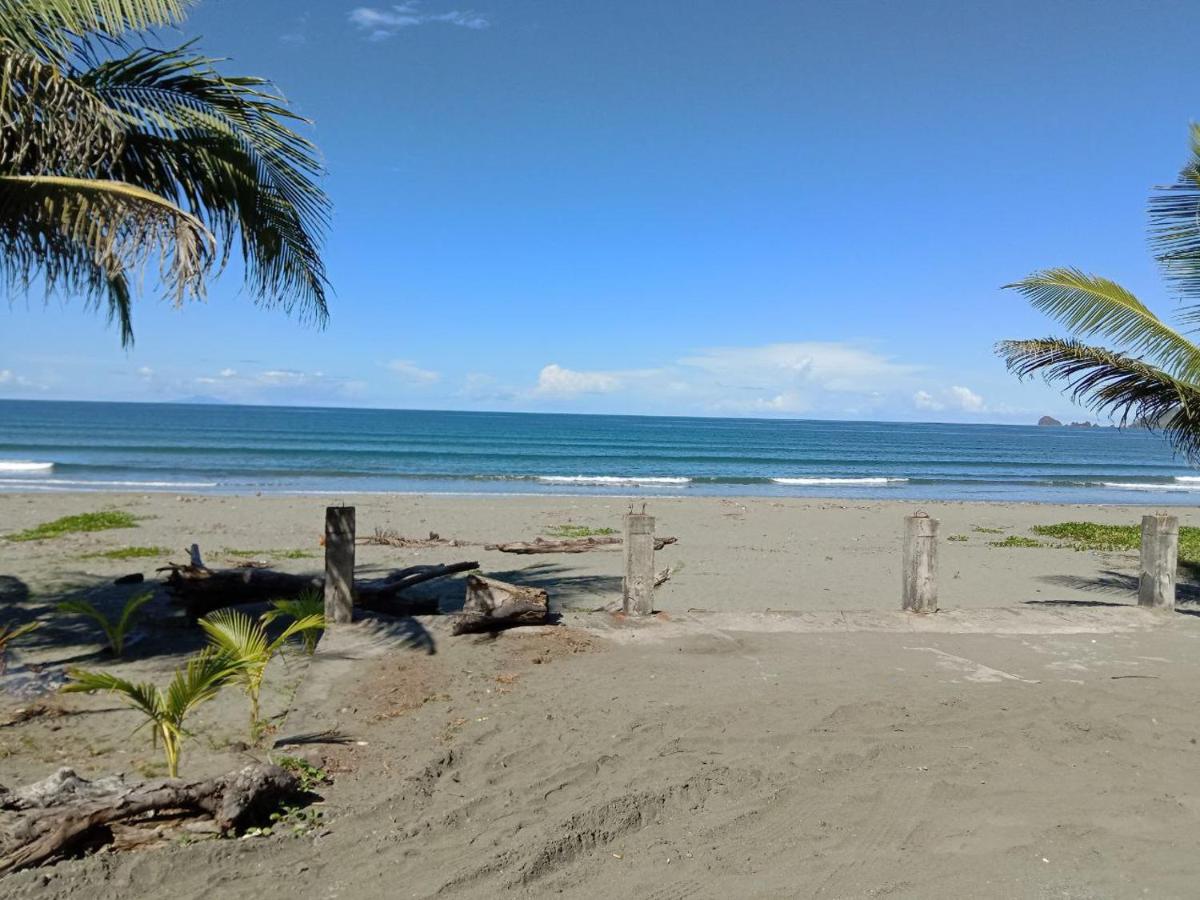 10 Best Beachfront Hotels In Baler, Philippines - Updated 2024 | Trip101