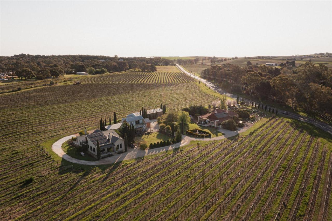 G마켓 여행 - | Barossa Valley | Barossa Shiraz Estate