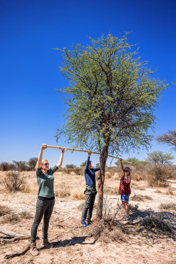 Working with Wildlife Conservation Safari on Khamab Kalahari Reserve in ...