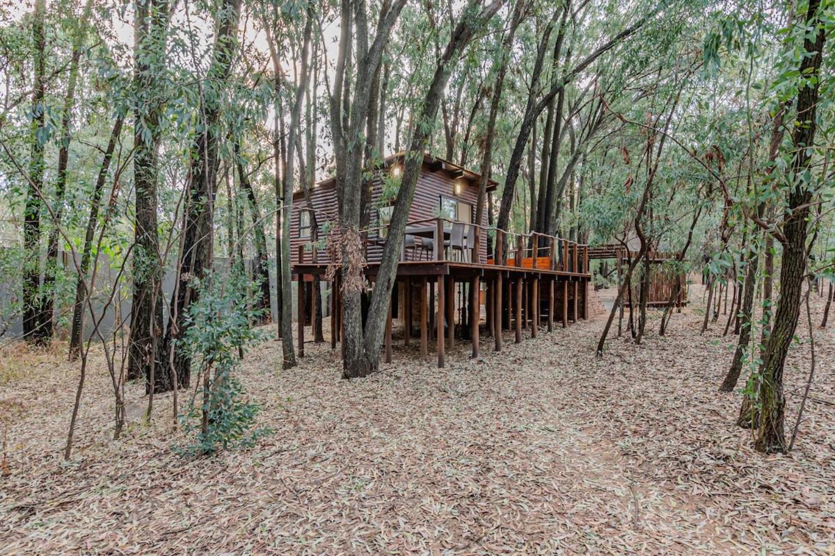 Luxury Tranquil Treehouse & Hot Tub in Pretoria - Bedandbreakfast.eu