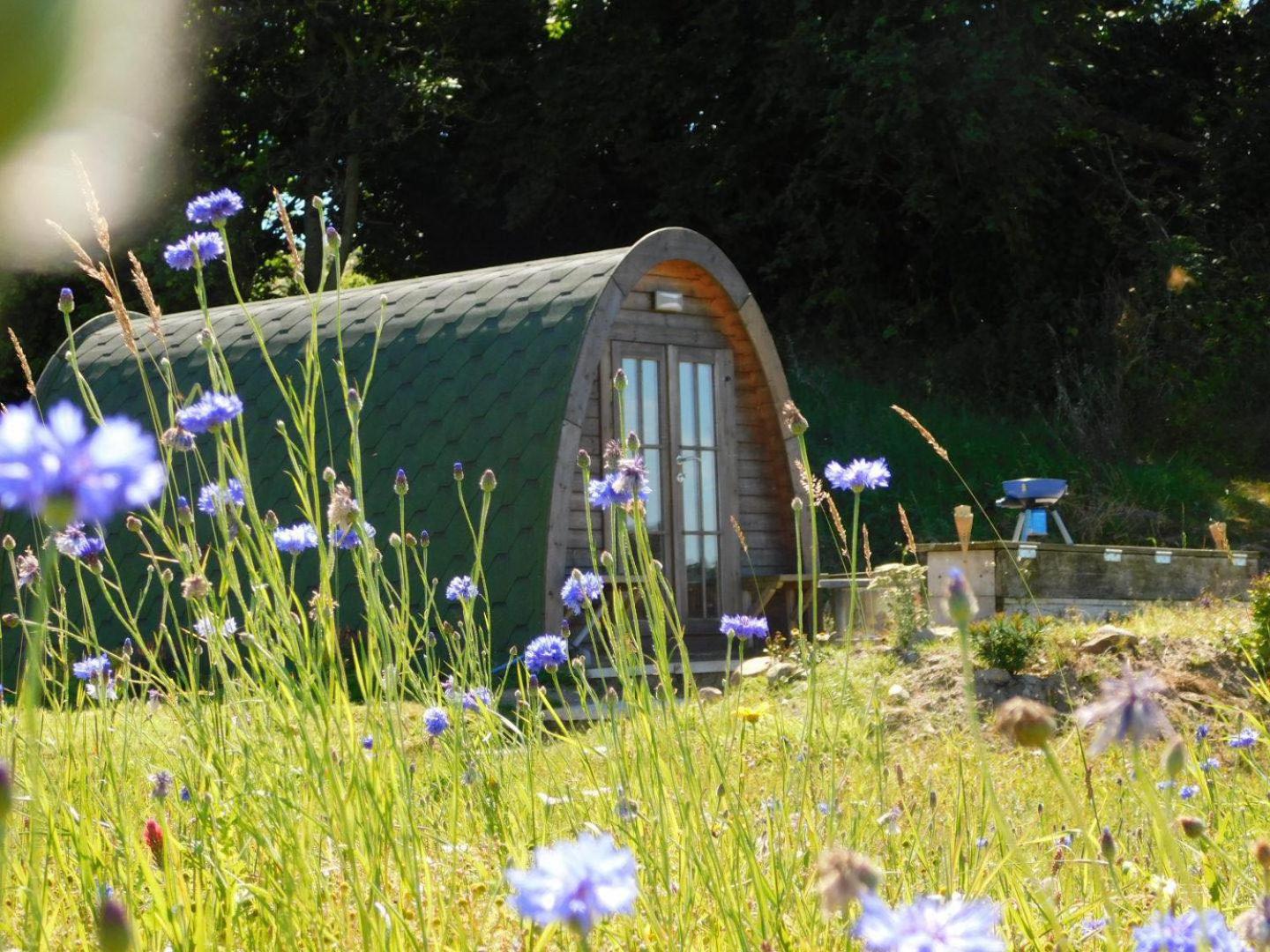 2 Bed Pod Cabin-sleeps 2-pets-garden-mtn View