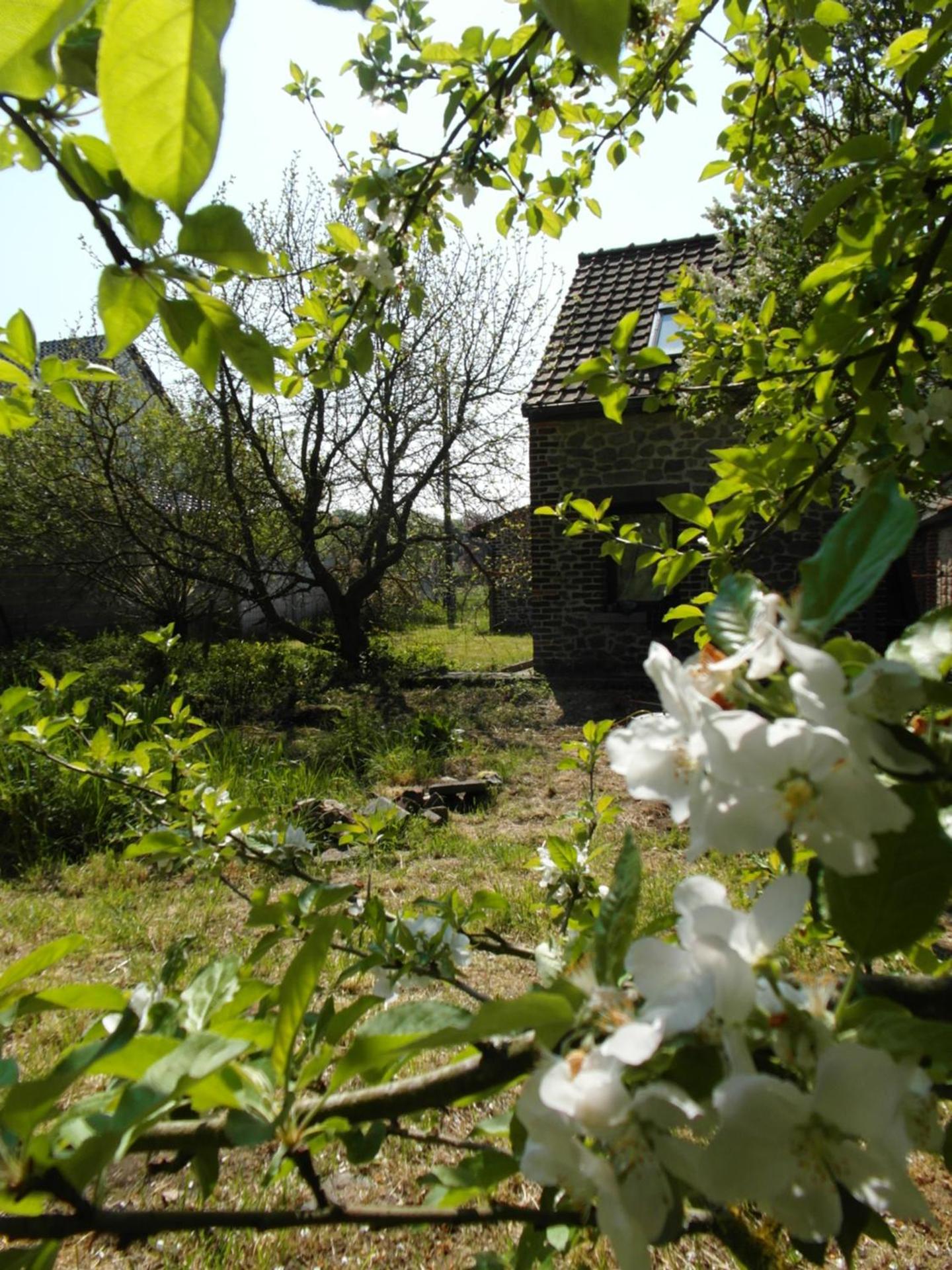 Carte MICHELIN Blaton - ViaMichelin