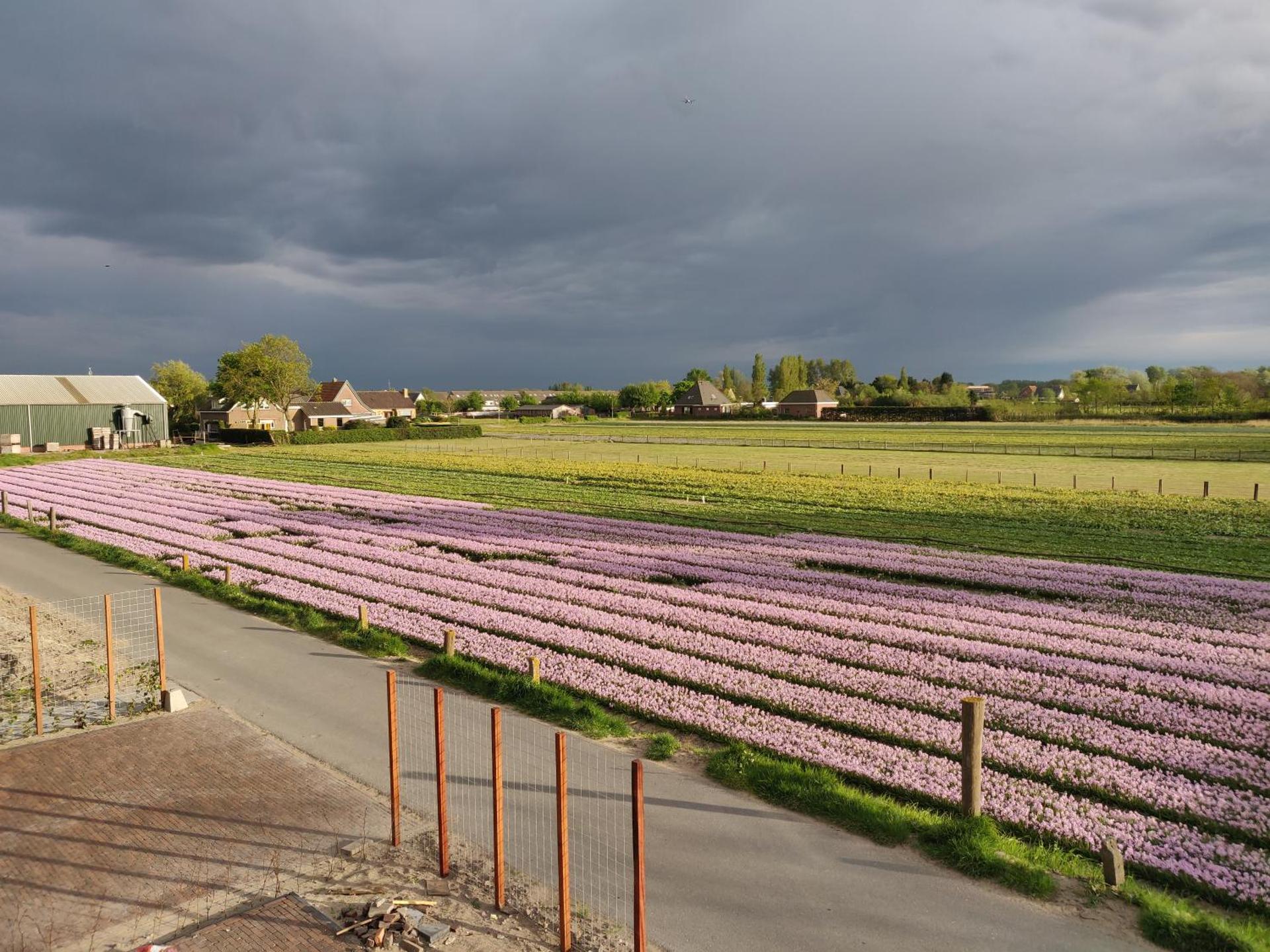 Kaart MICHELIN Limmen - ViaMichelin
