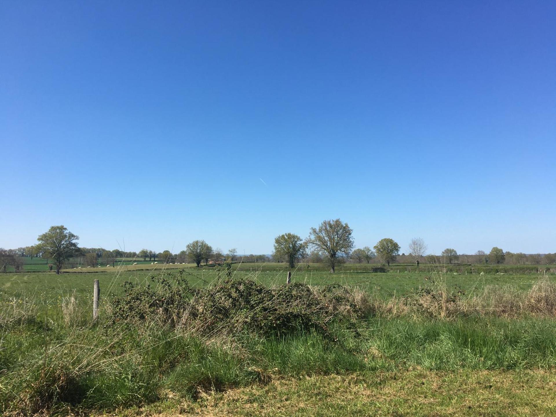 Carte MICHELIN Villefranche-d'Allier - ViaMichelin