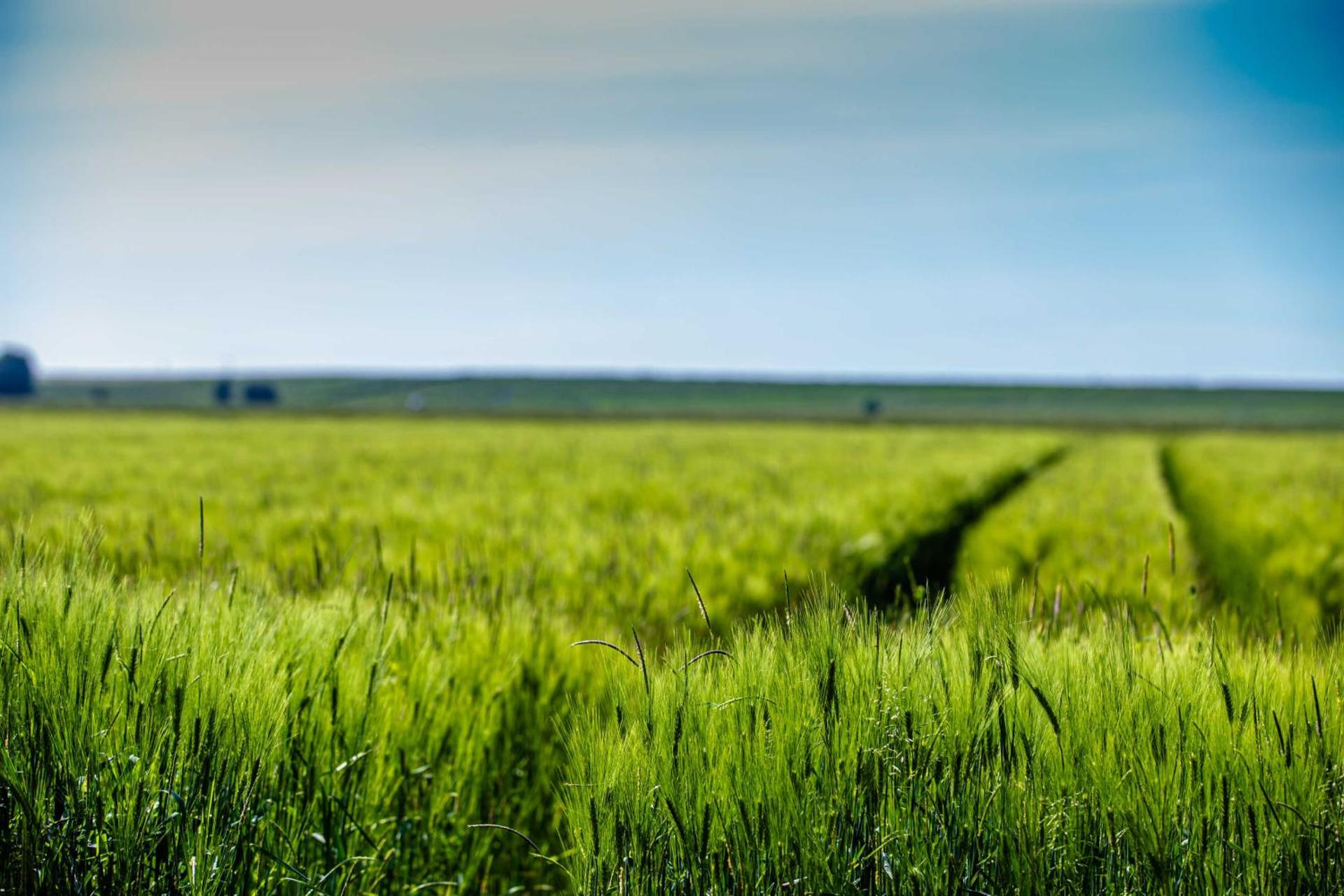 Kaart MICHELIN Scheemda - ViaMichelin