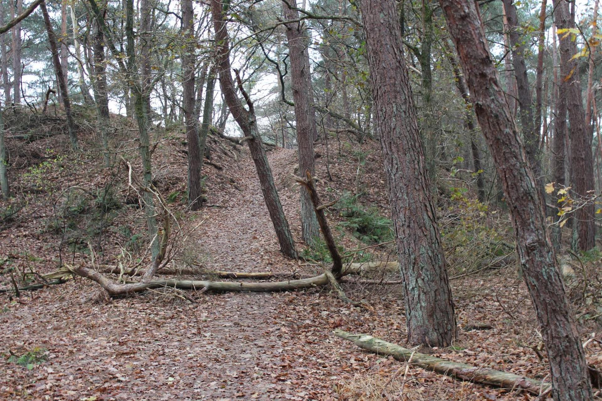 MICHELIN Drunen map - ViaMichelin