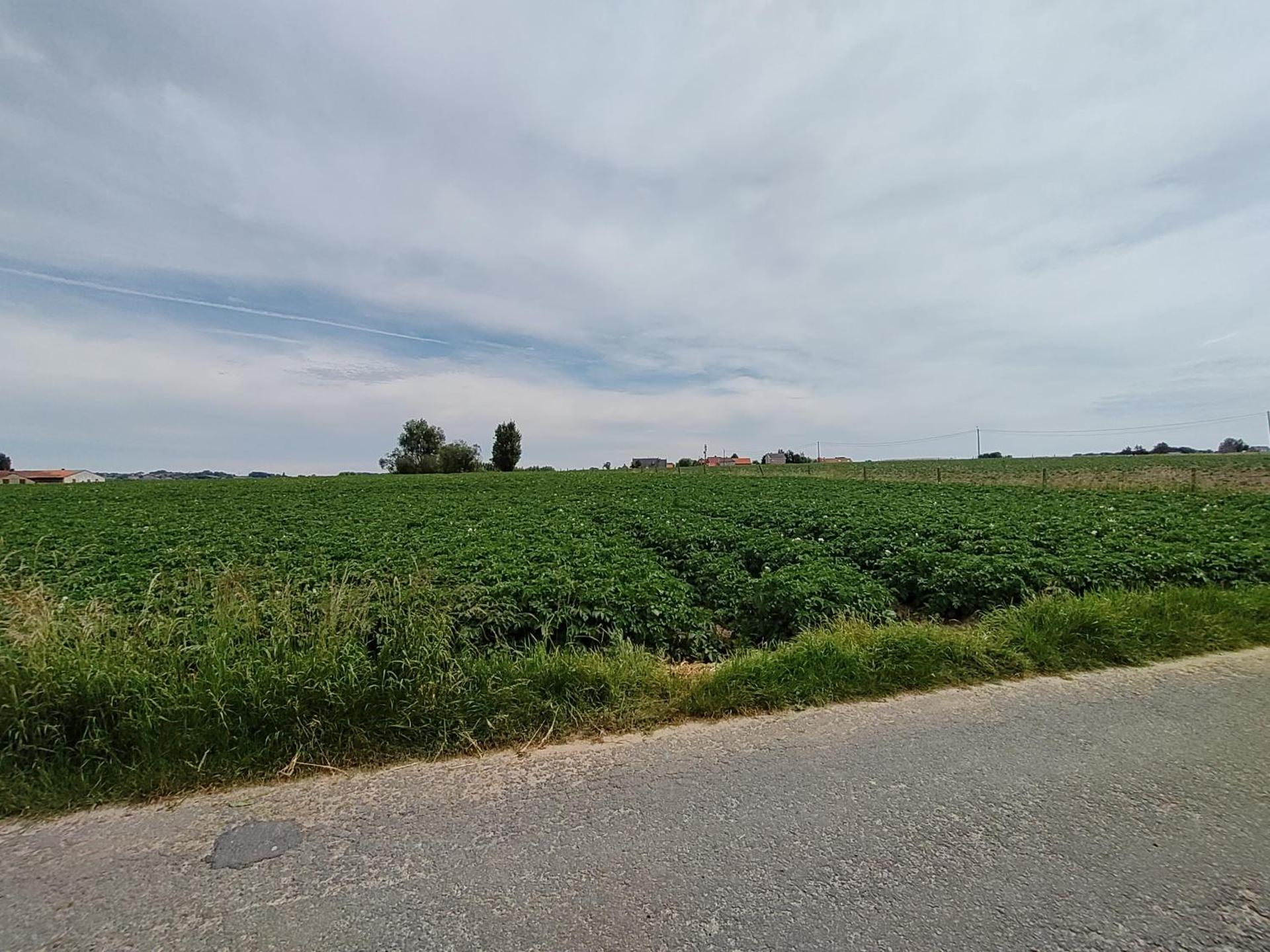 Kaart MICHELIN Anzegem - ViaMichelin