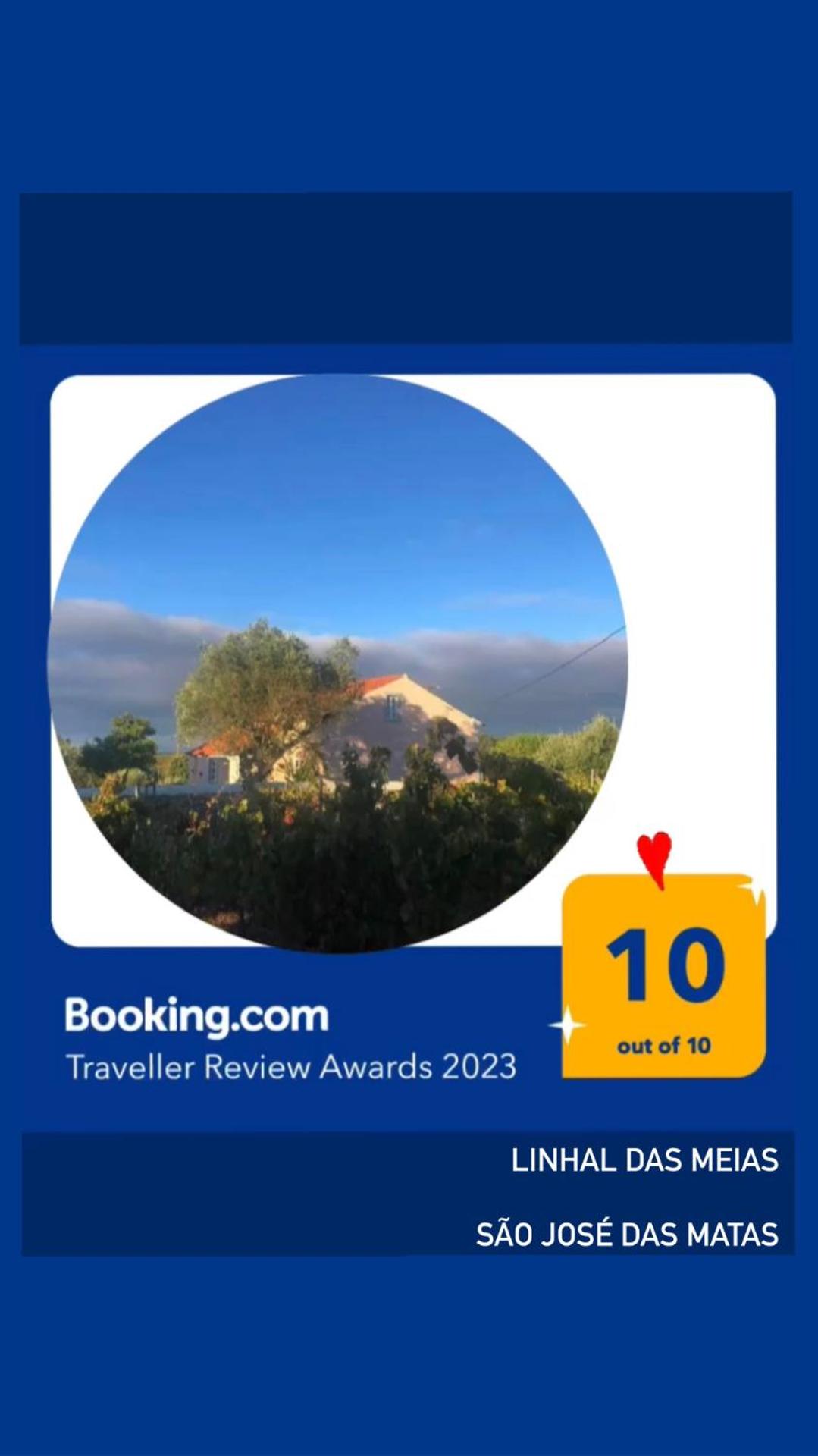 Mapa MICHELIN Montargil - ViaMichelin