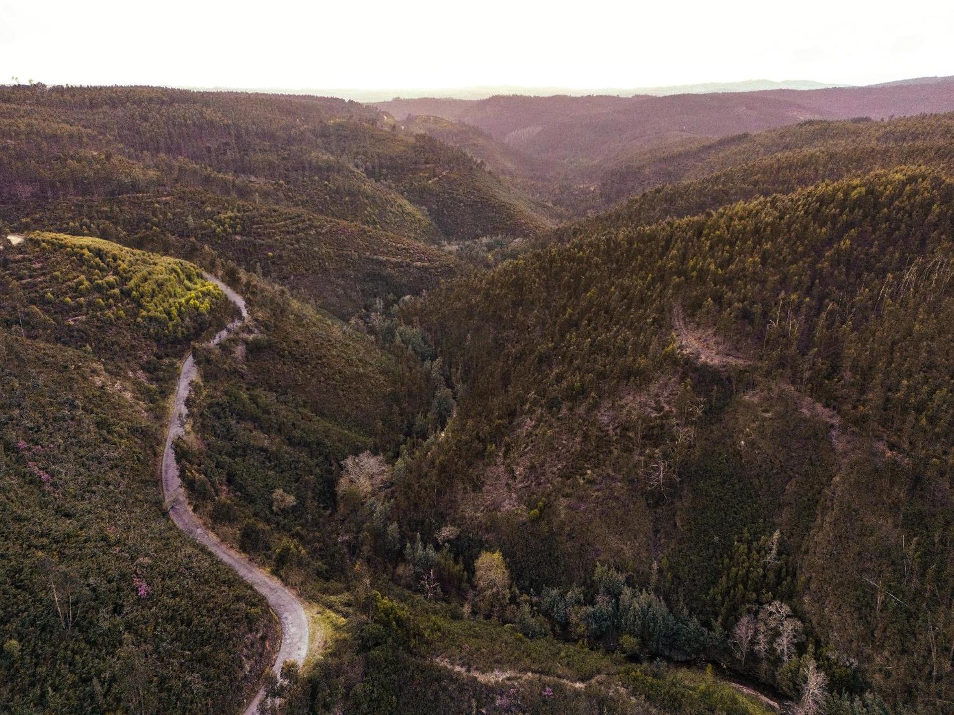 MICHELIN Águeda map - ViaMichelin