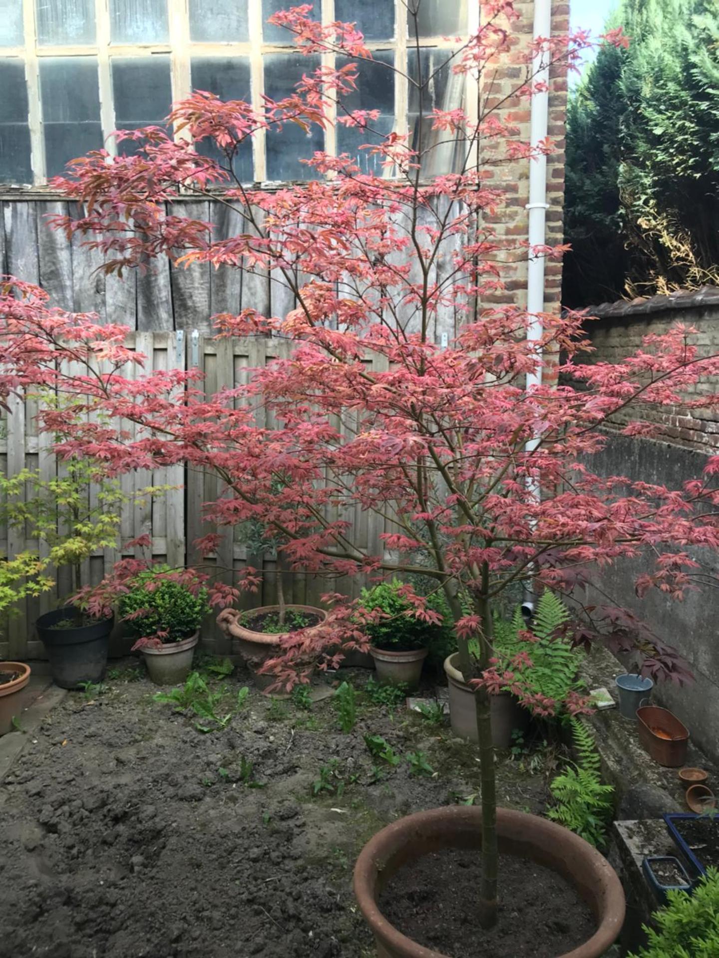 Carte MICHELIN Limelette - ViaMichelin