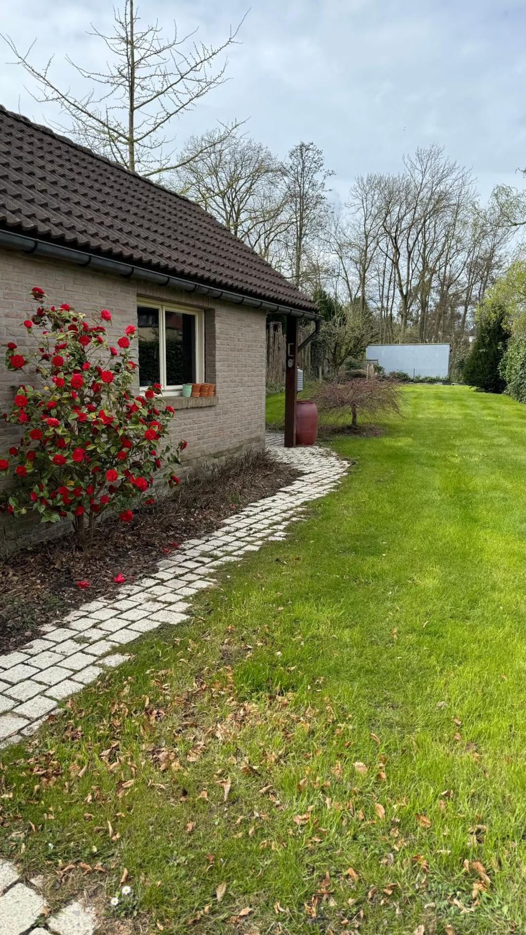 Carte MICHELIN Meise - ViaMichelin