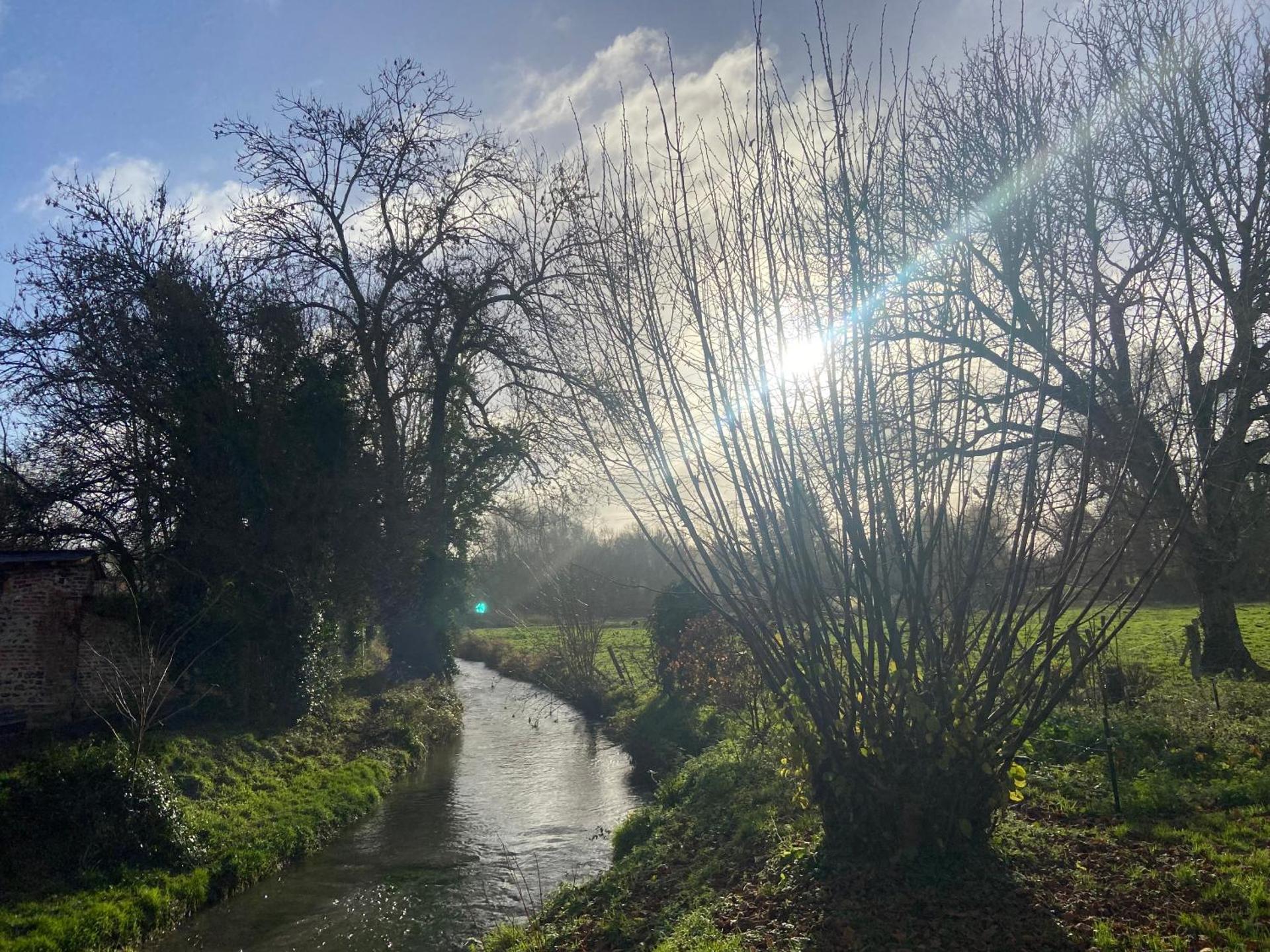 Carte MICHELIN Bacqueville-en-Caux - ViaMichelin