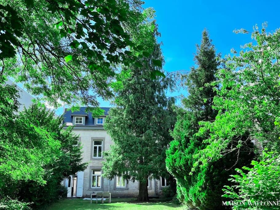 Carte MICHELIN Vivegnis - ViaMichelin