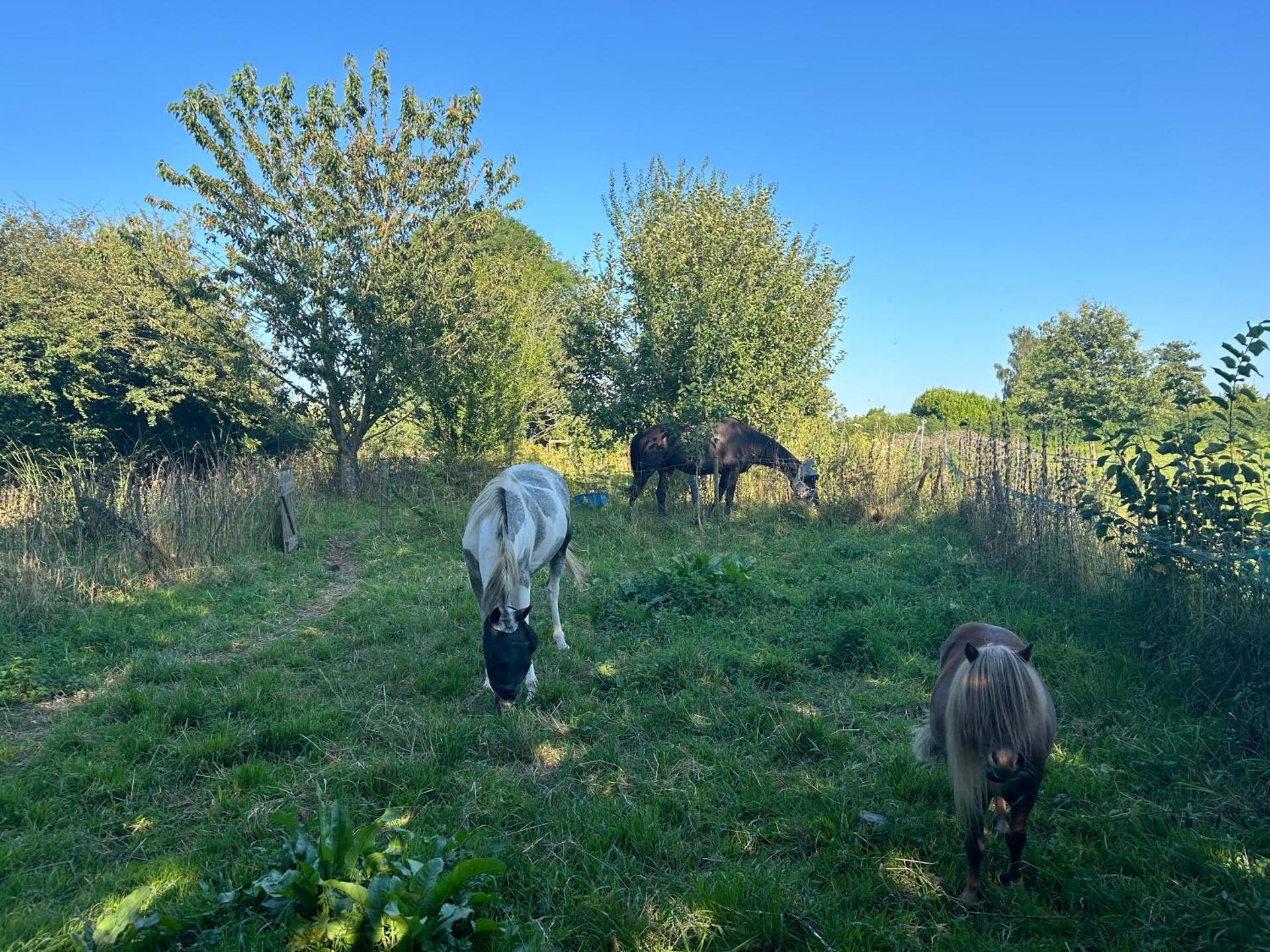 MICHELIN Nivelles map - ViaMichelin