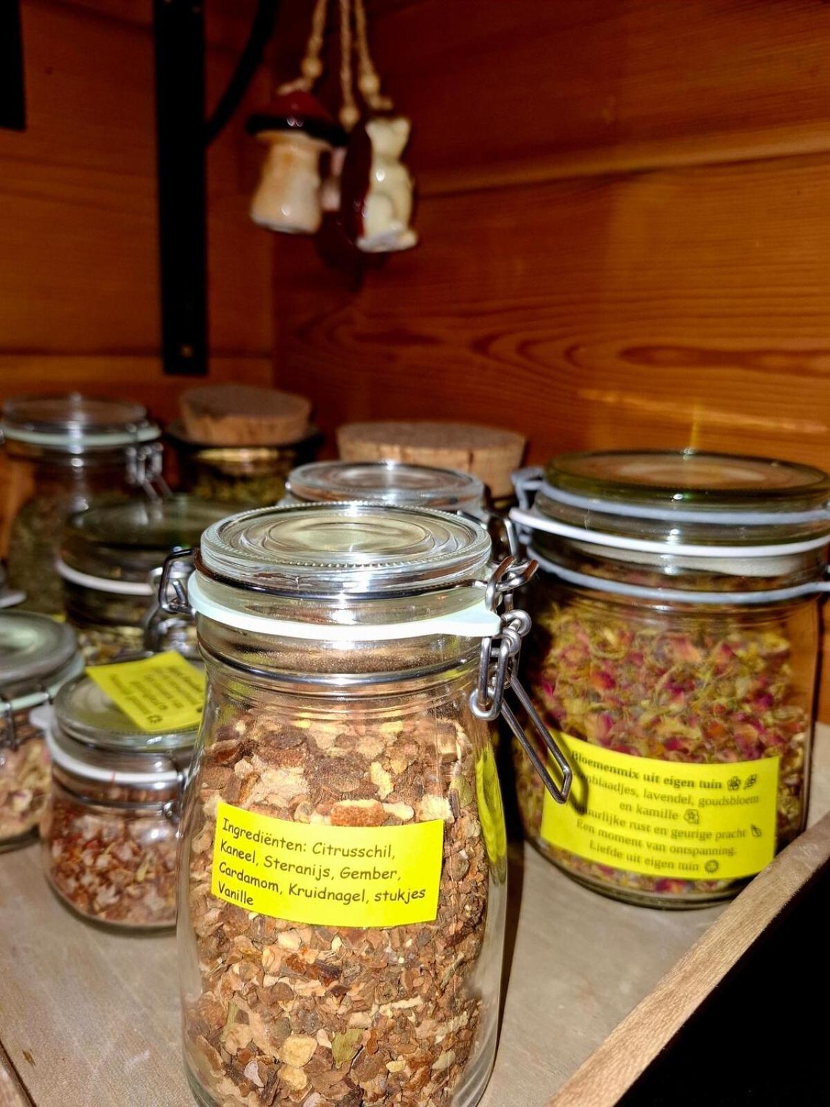 MICHELIN Wuustwezel map - ViaMichelin