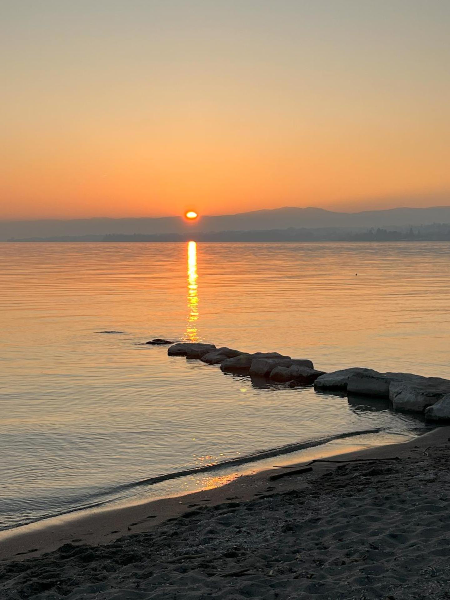 Carte MICHELIN Morges - ViaMichelin