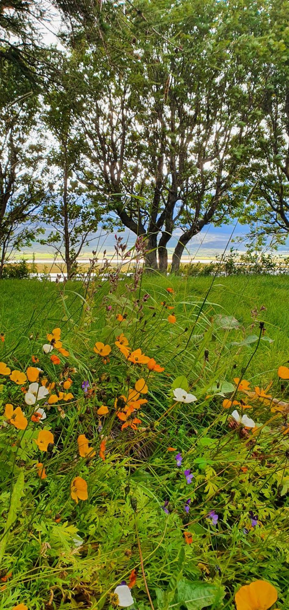 Helluland Guesthouse | Best Price 2025 | Guide to Iceland