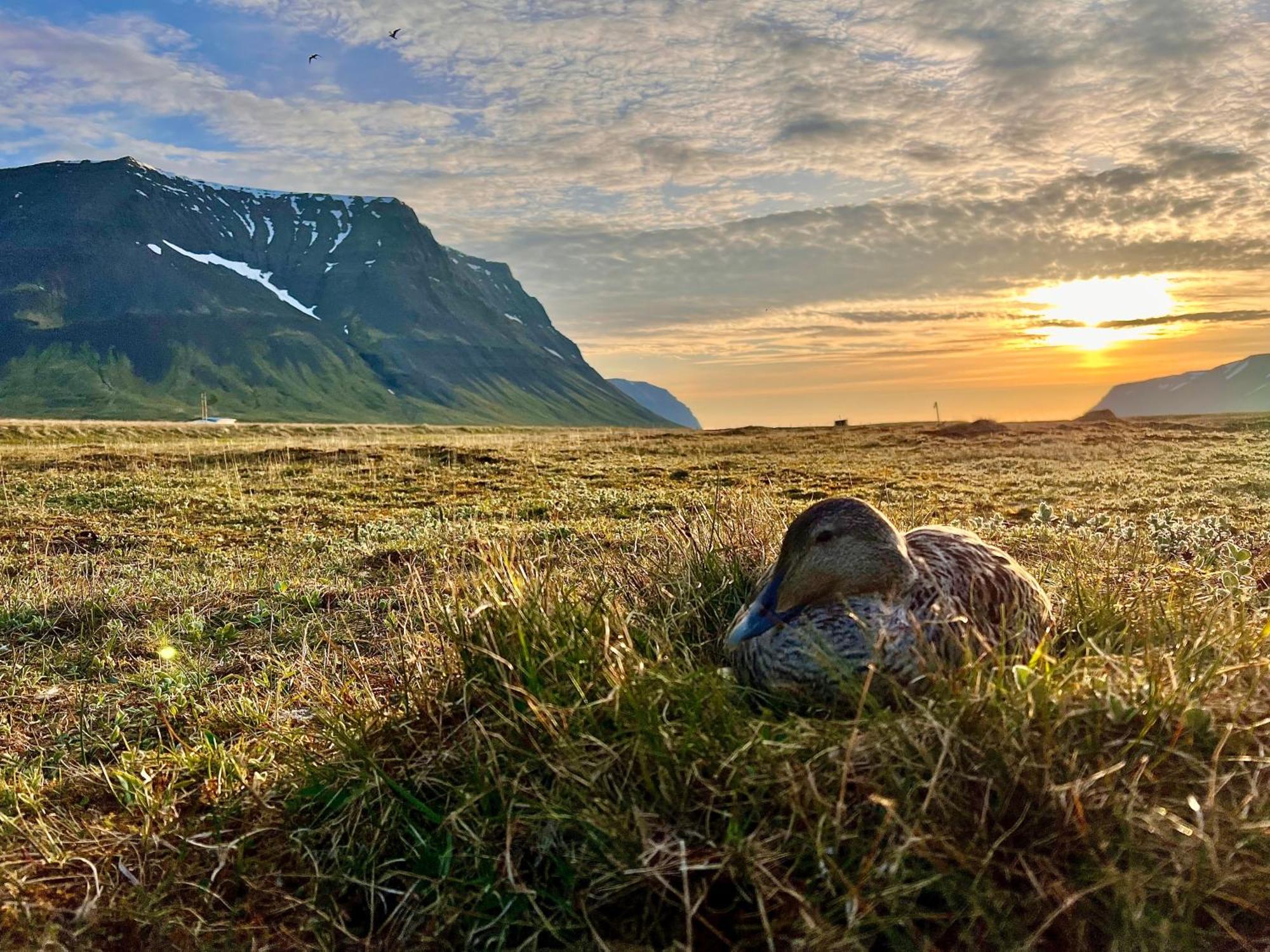 홀트 인 | Holt Inn | 2025년 최저가 | Guide to Iceland