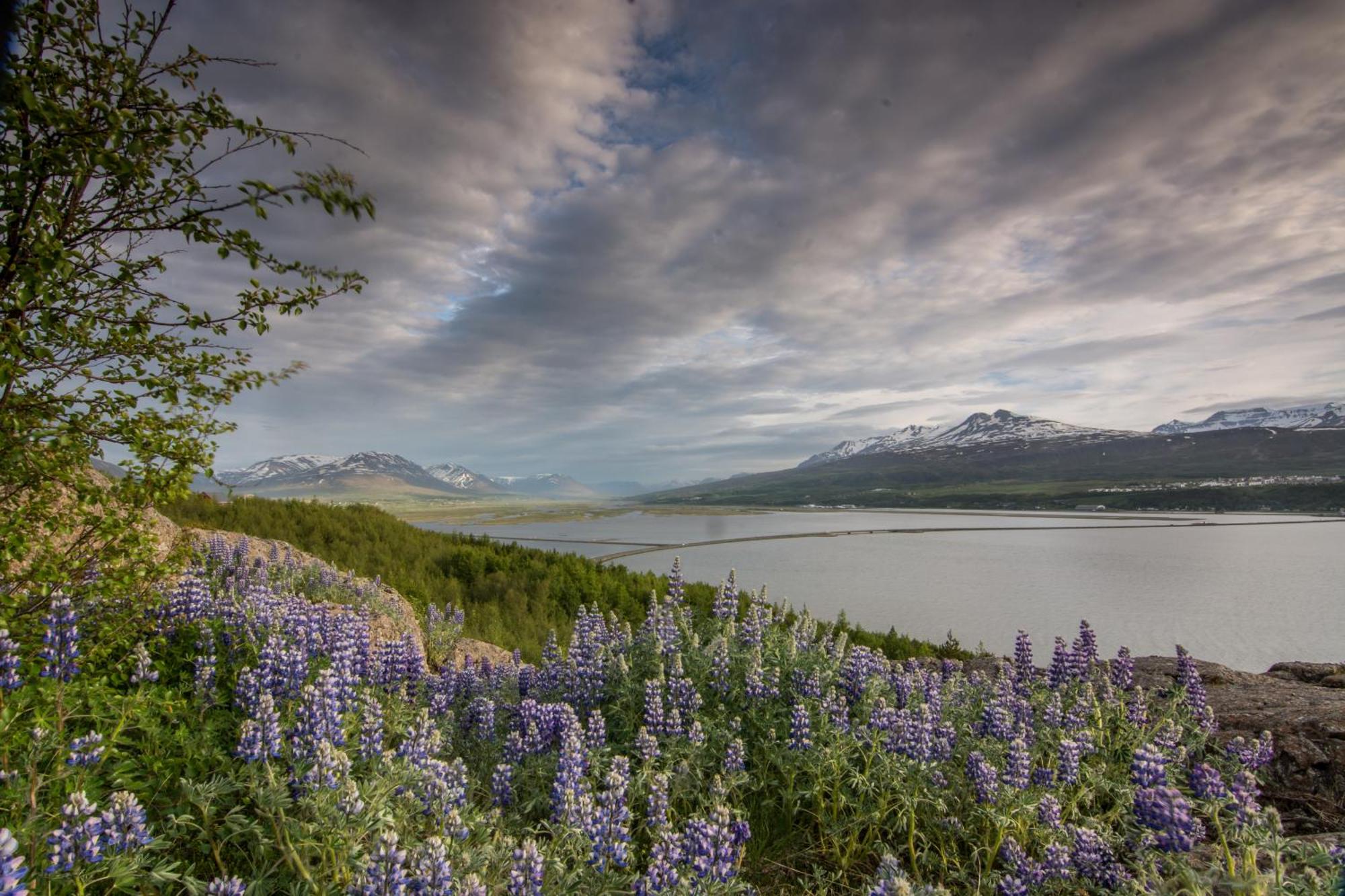 Viking Cottages & Apartments | Guide to Iceland