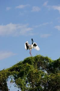Mercure Kakadu Crocodile Hotel, Kakadu | 2021 Updated Prices, Deals