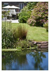 The Old Rectory Hotel Review, Devon, England | Telegraph Travel