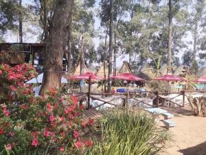 beach Island Graskop - Rentals in Graskop (Mpumalanga, South Africa)