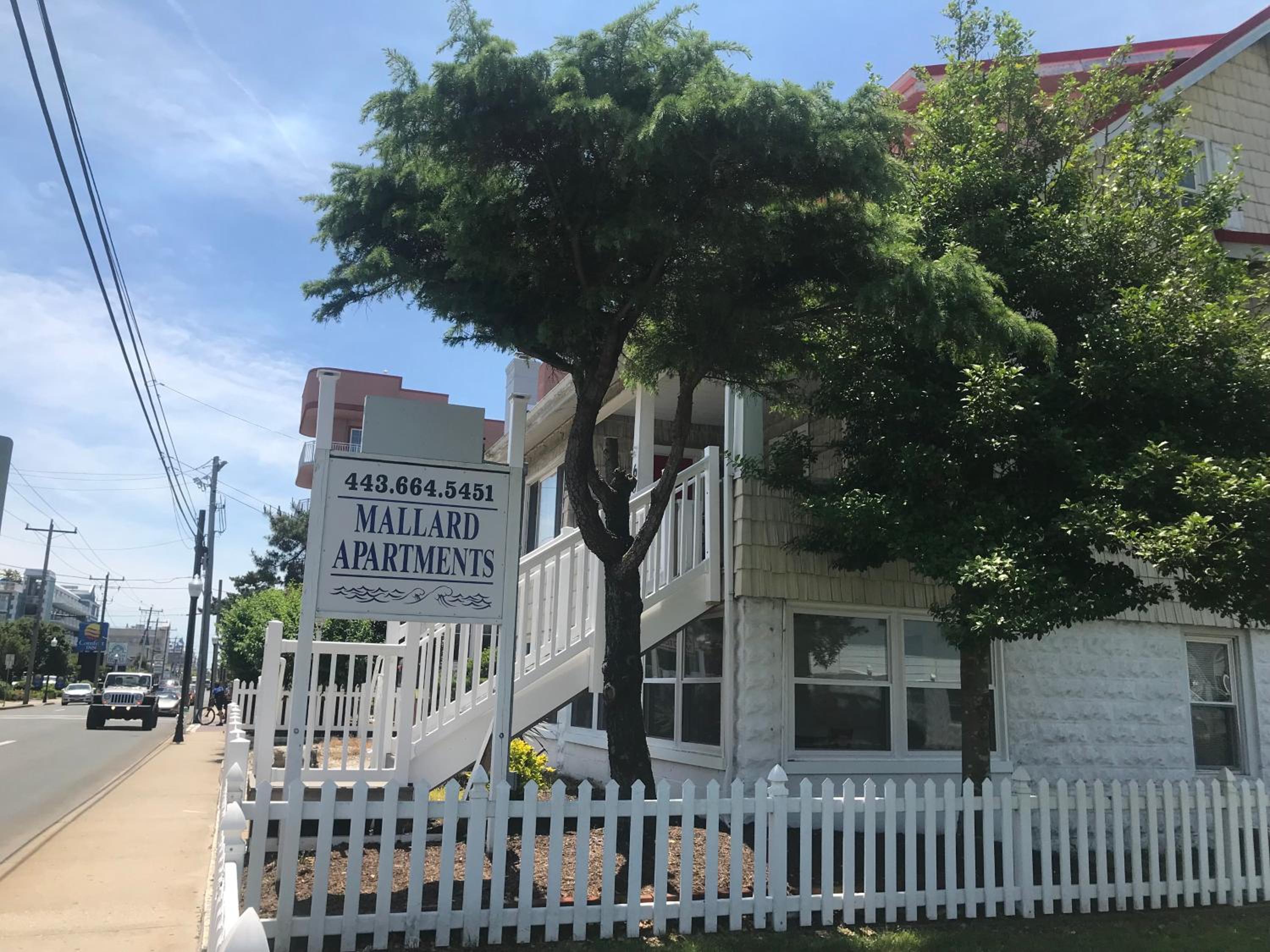 Mallard Apartments - Best stays in Ocean City, Maryland - Skiplagged