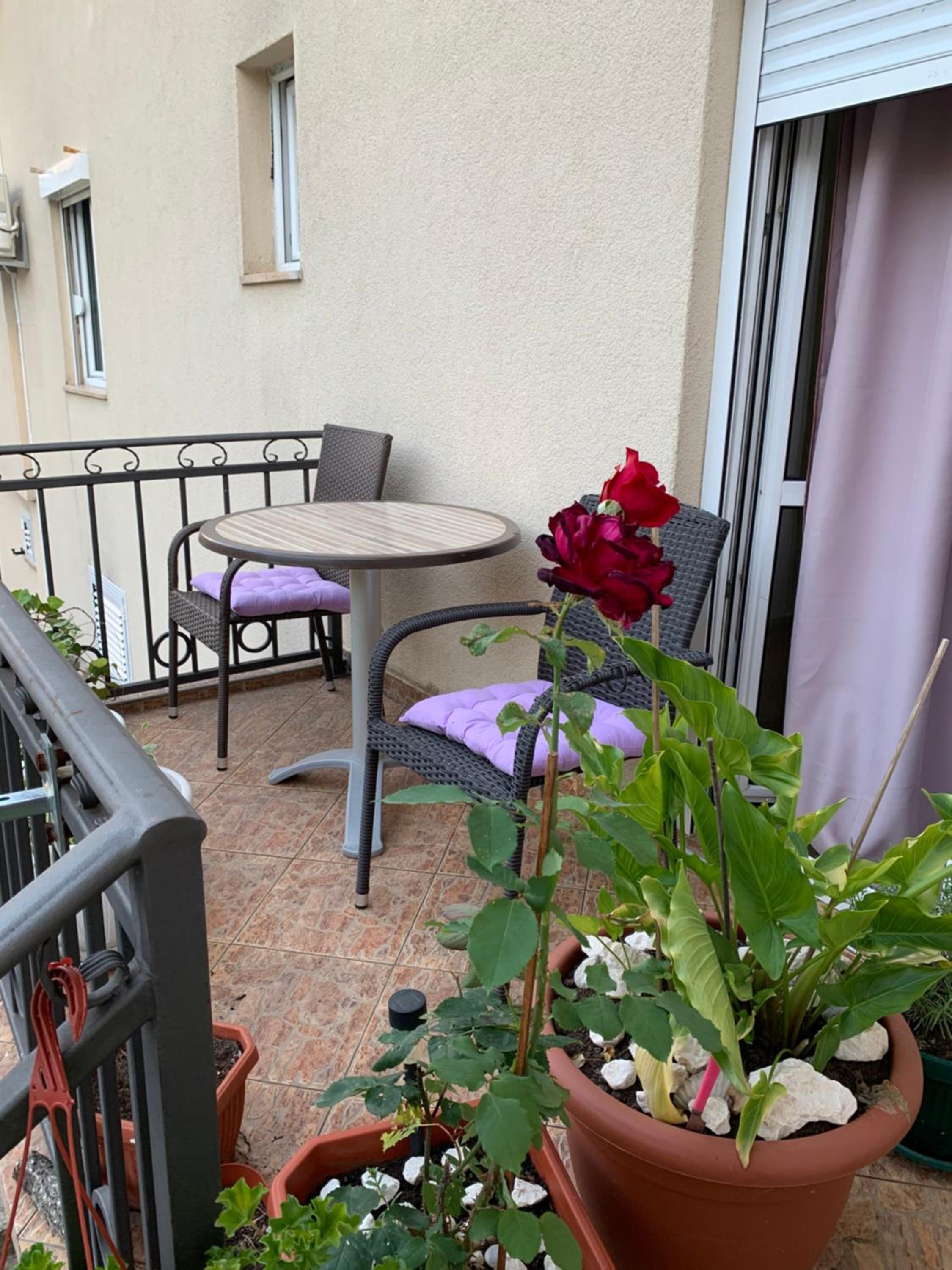 Apartmani Krgušić - Best stays in Tivat, Montenegro - Skiplagged