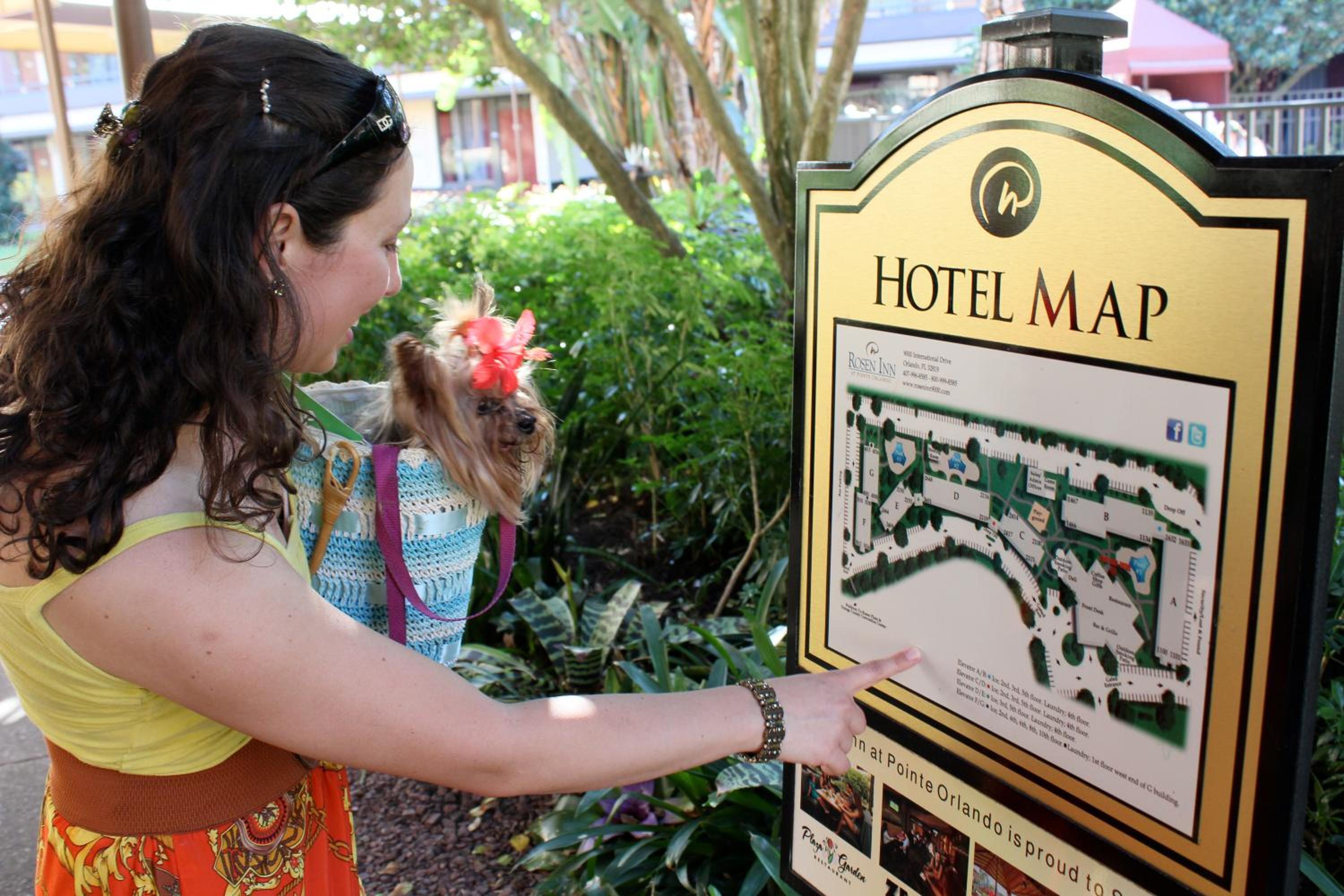 Rosen Inn At Pointe Orlando - Best stays in Orlando, Florida - Skiplagged