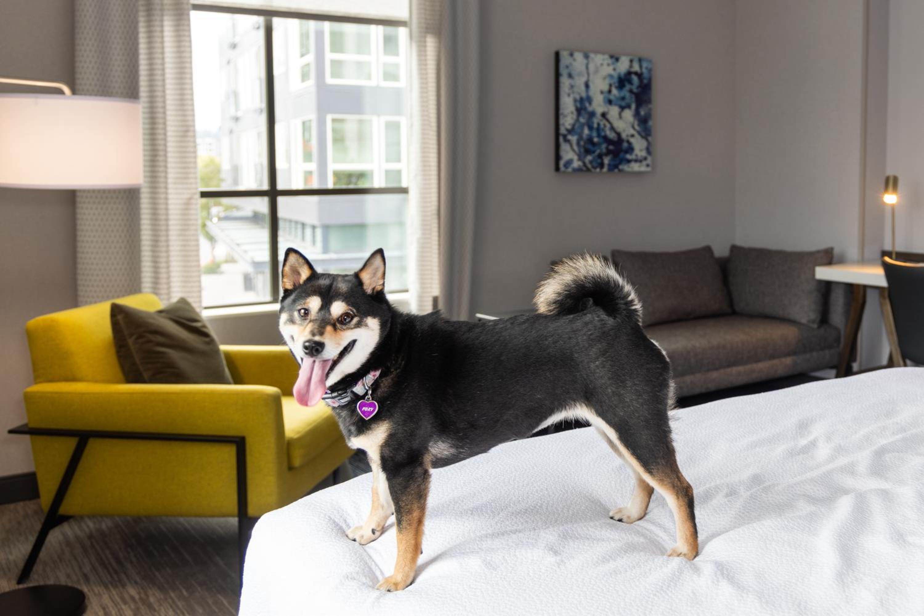 Hilton Garden Inn Redmond Town Center, WA - Best stays in Redmond ...