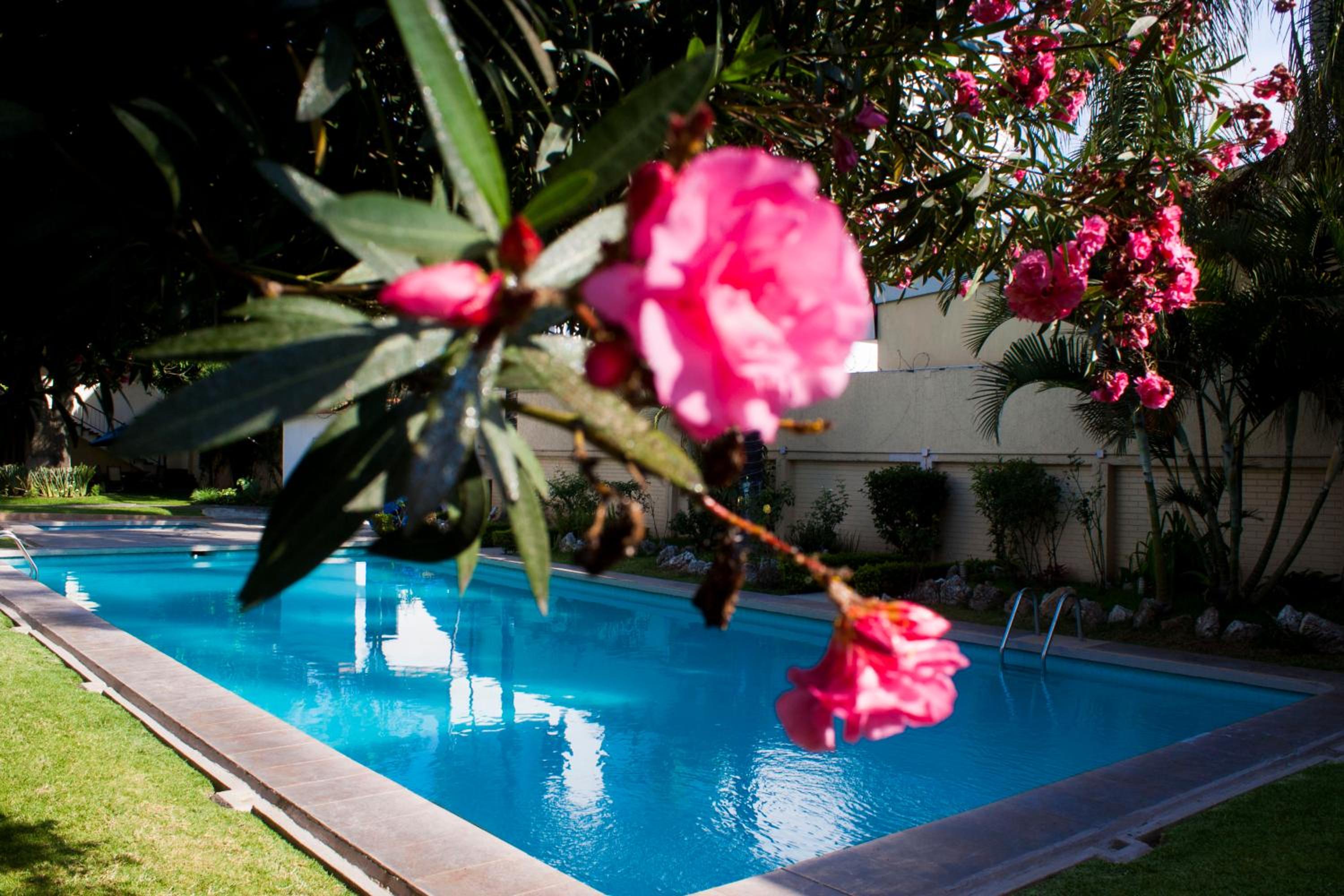 Hotel Puerta Del Sol Guadalajara - Best stays in Zapopan, Mexico ...