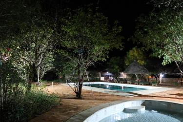 Sagala Lodge in Coastal Kenya | 2023 Updated prices, deals - Klook ...