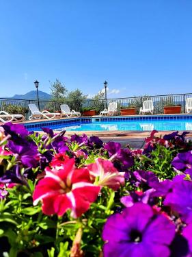 L'Oliveto in Cineto Romano | 2023 Updated prices, deals - Klook United ...