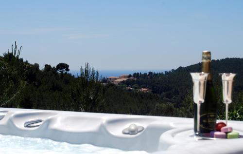 Chambres Et Tables D'hotes , Spa Et Sejour Bien Etre , Le Clos De La Chevre Sud - Bandol