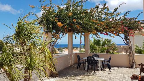 Casa Do Cisne - Porto Santo