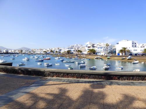 Al Charco - Arrecife
