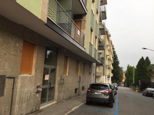 Aurelia - Varese