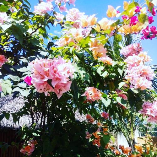 Calayo Beach Resort - Nasugbu, Philippines - Updated 2026: Prices and ...
