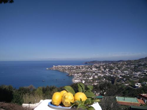 Villa Andrea - Forio